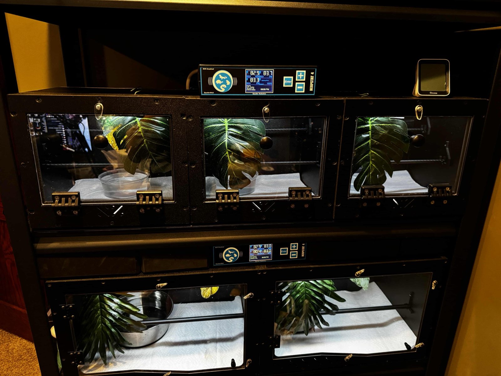 Services | Top Tier Caging